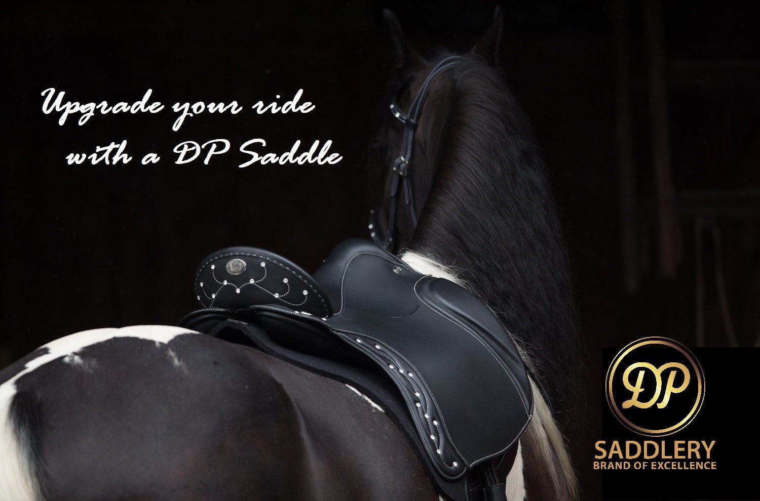 DP Saddlery Impuls – Top Hat Tack